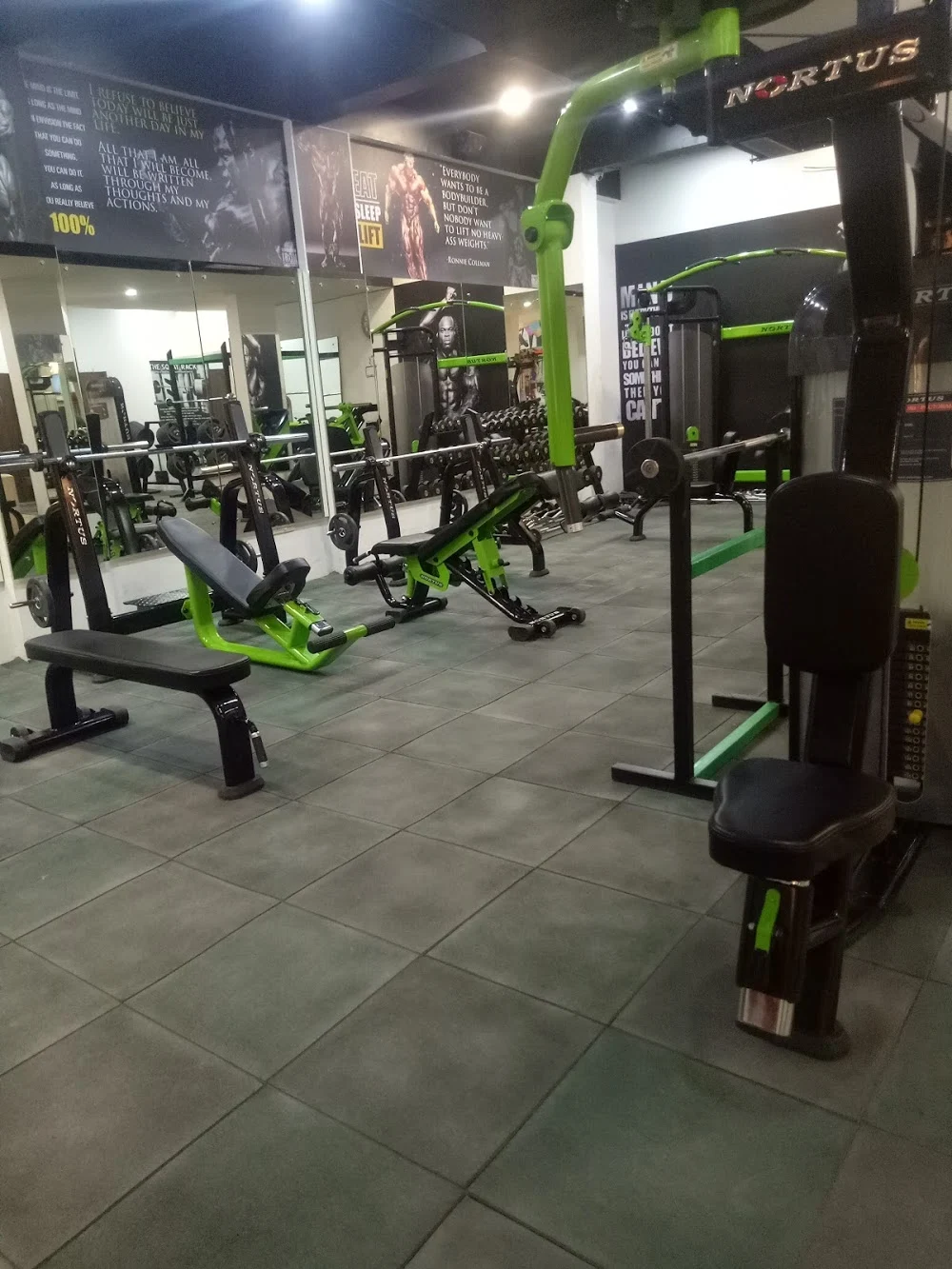 DailyGym - Health is Wealth